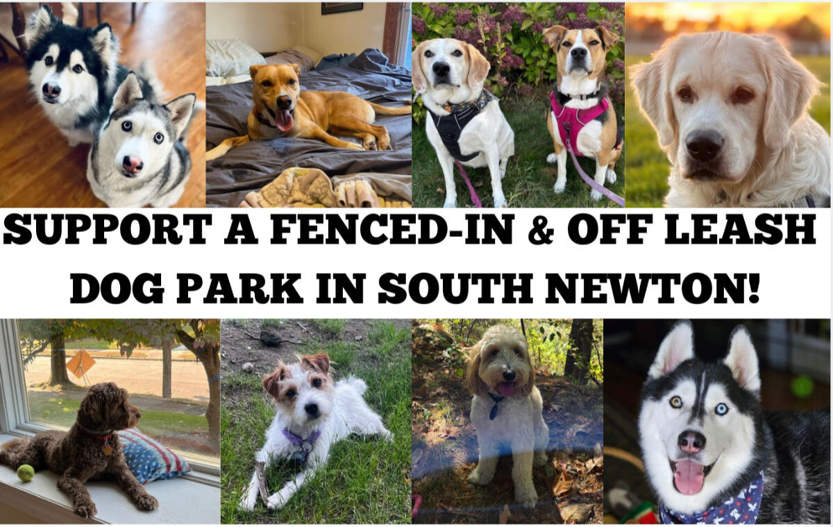 South Newton Dog Park